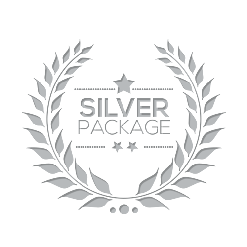 silver package – Drivesafe Inspection llc